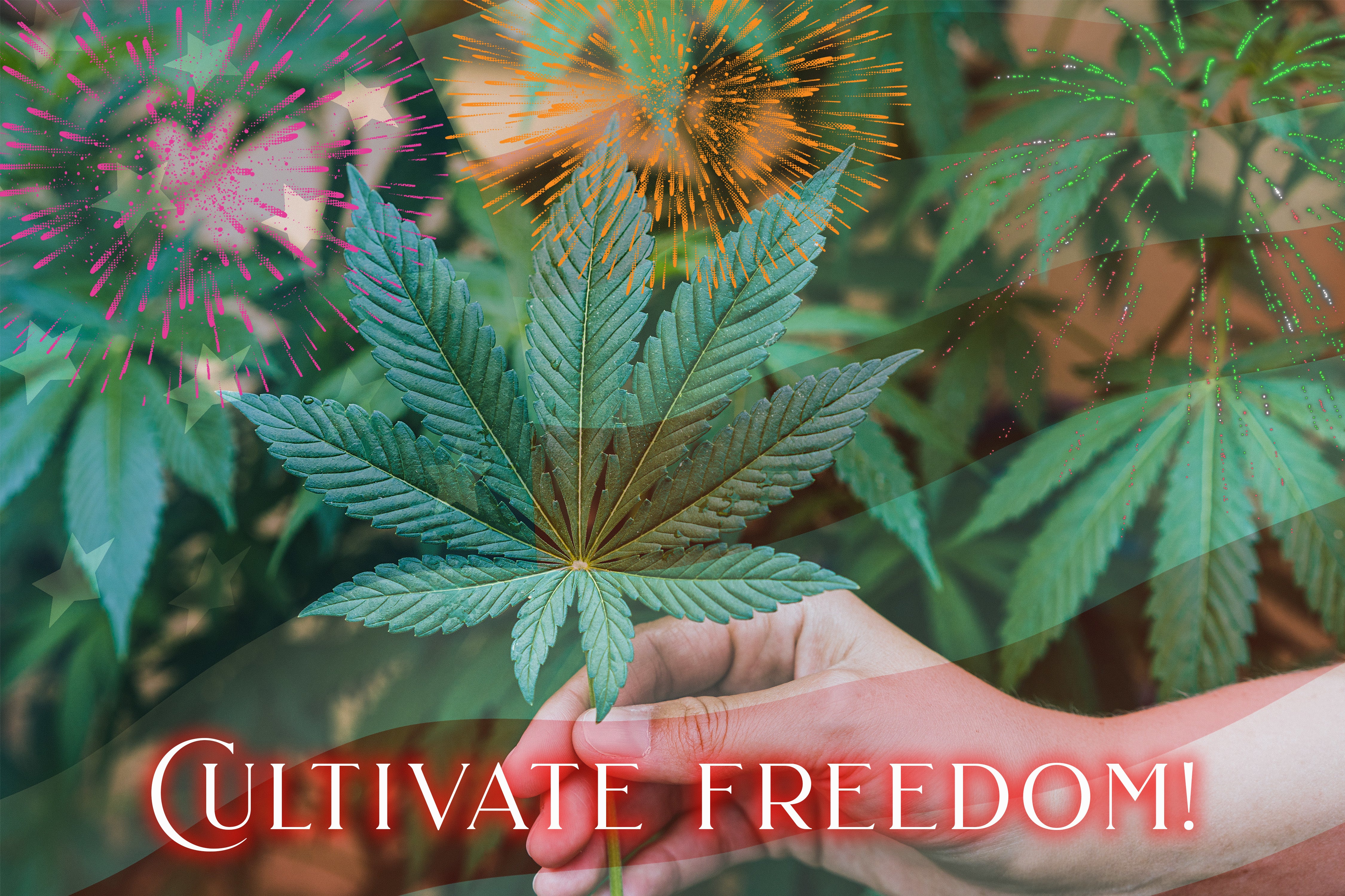 Independence and Innovation: The Commercial Boom of Hemp and Cannabis – KALIX CPN